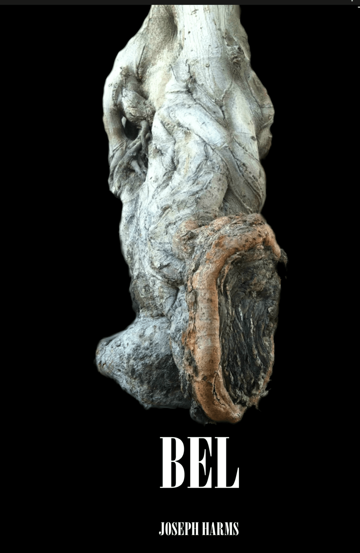 Joseph Harms, author of the poetry collection Bel – The Gravity of the ...