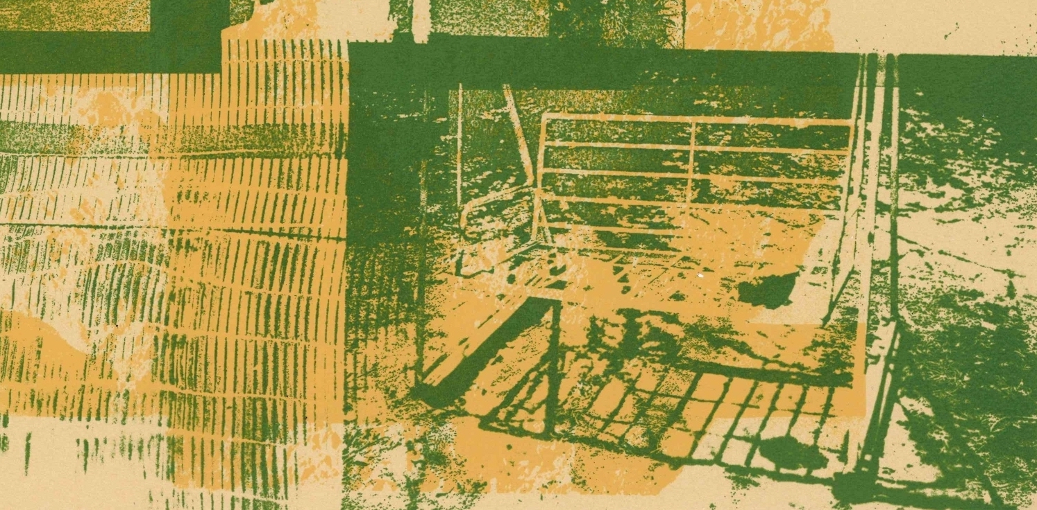 Six Words | Lisa Marie Lopez – The Gravity of the Thing