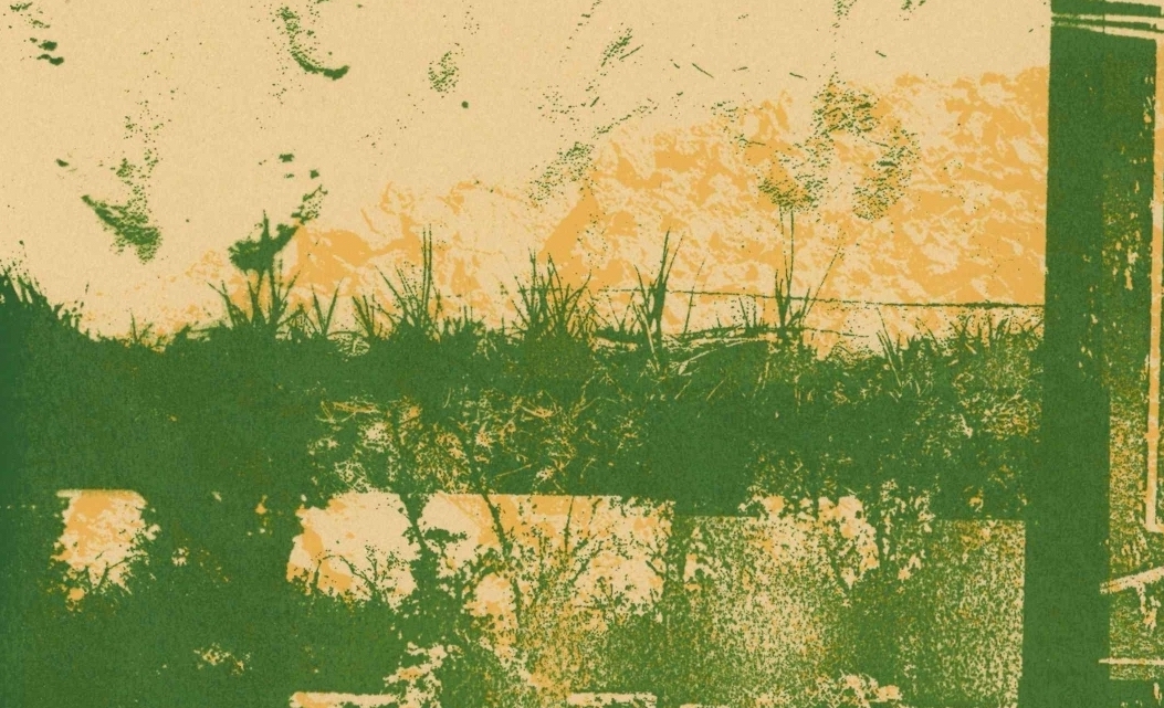 Twenty-Four, Candidly | Violet Piper – The Gravity of the Thing