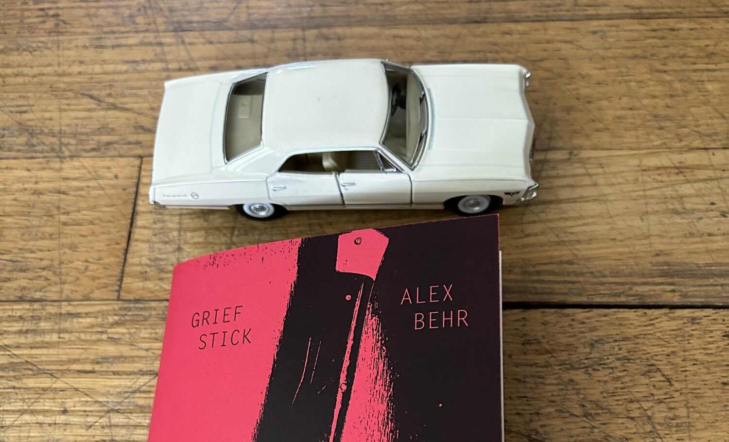 Alex Behr, Grief Stick (Picture Frame Press) – The Gravity of the Thing